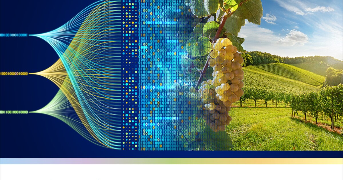 KX – Kwizda Xperience